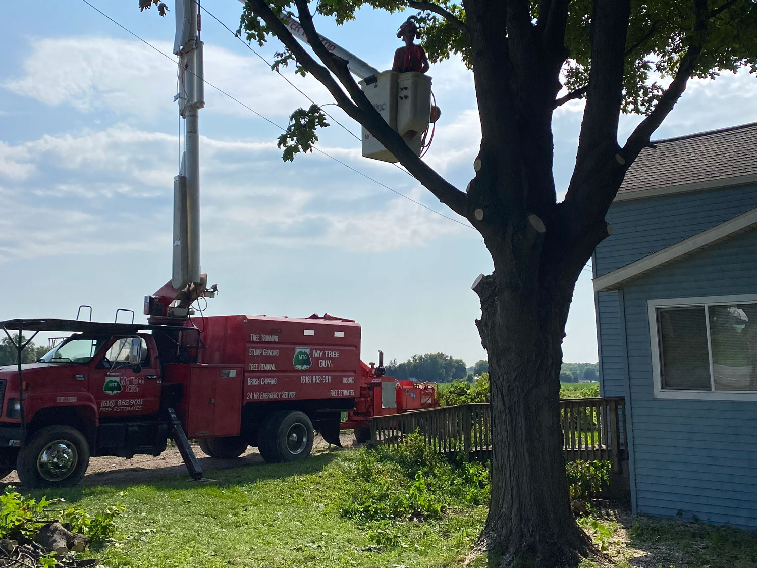 Tree Service Hudsonville, Michigan - My Tree Guy LLC